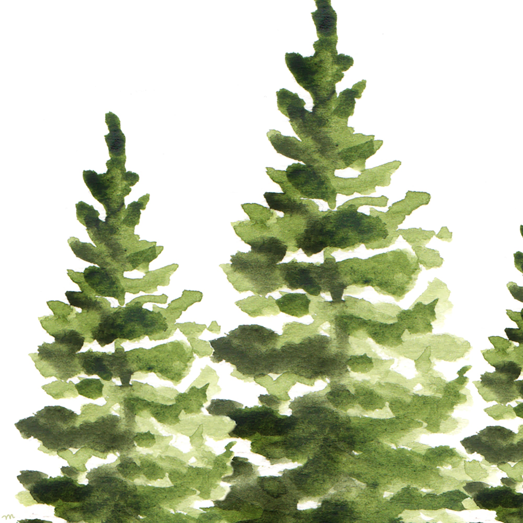 Watercolor Evergreen Pine Trees Wall Art Print by Michelle Mospens