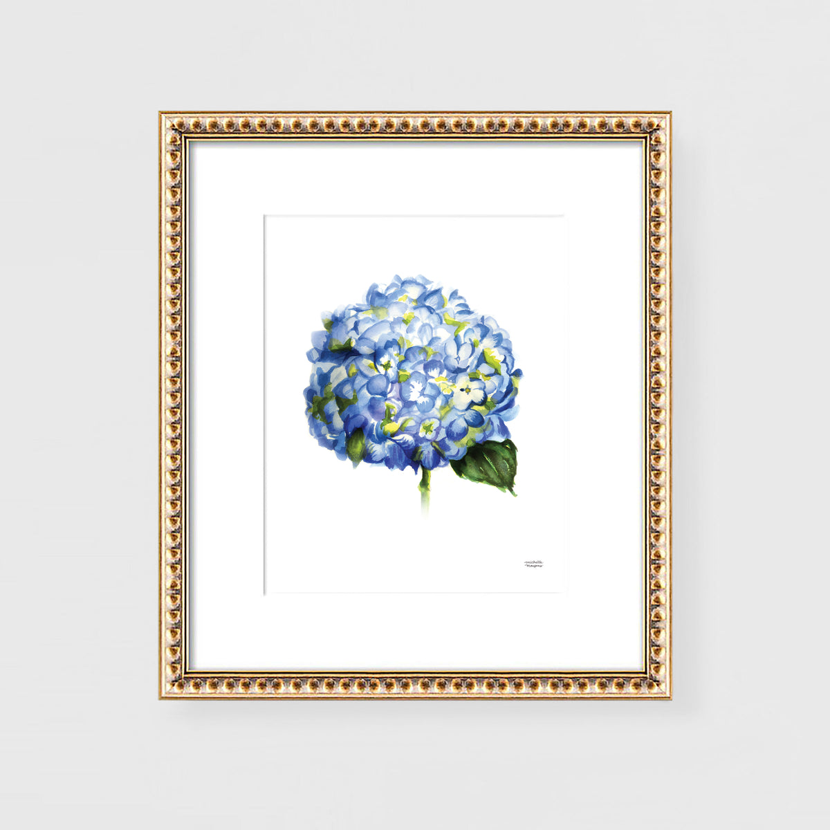 hydrangea watercolour
